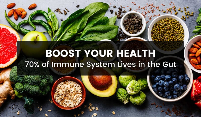 Strengthen Your Immune System in the Gut | Dr. Havranek
