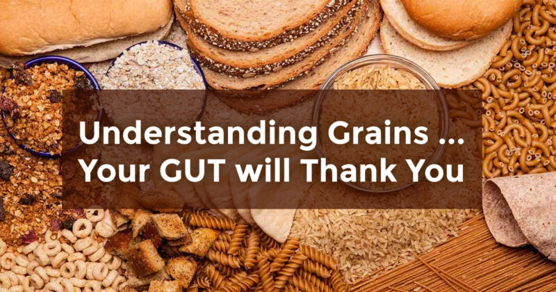 Grains: Everything You Need to Know | Russell Havranek, MD